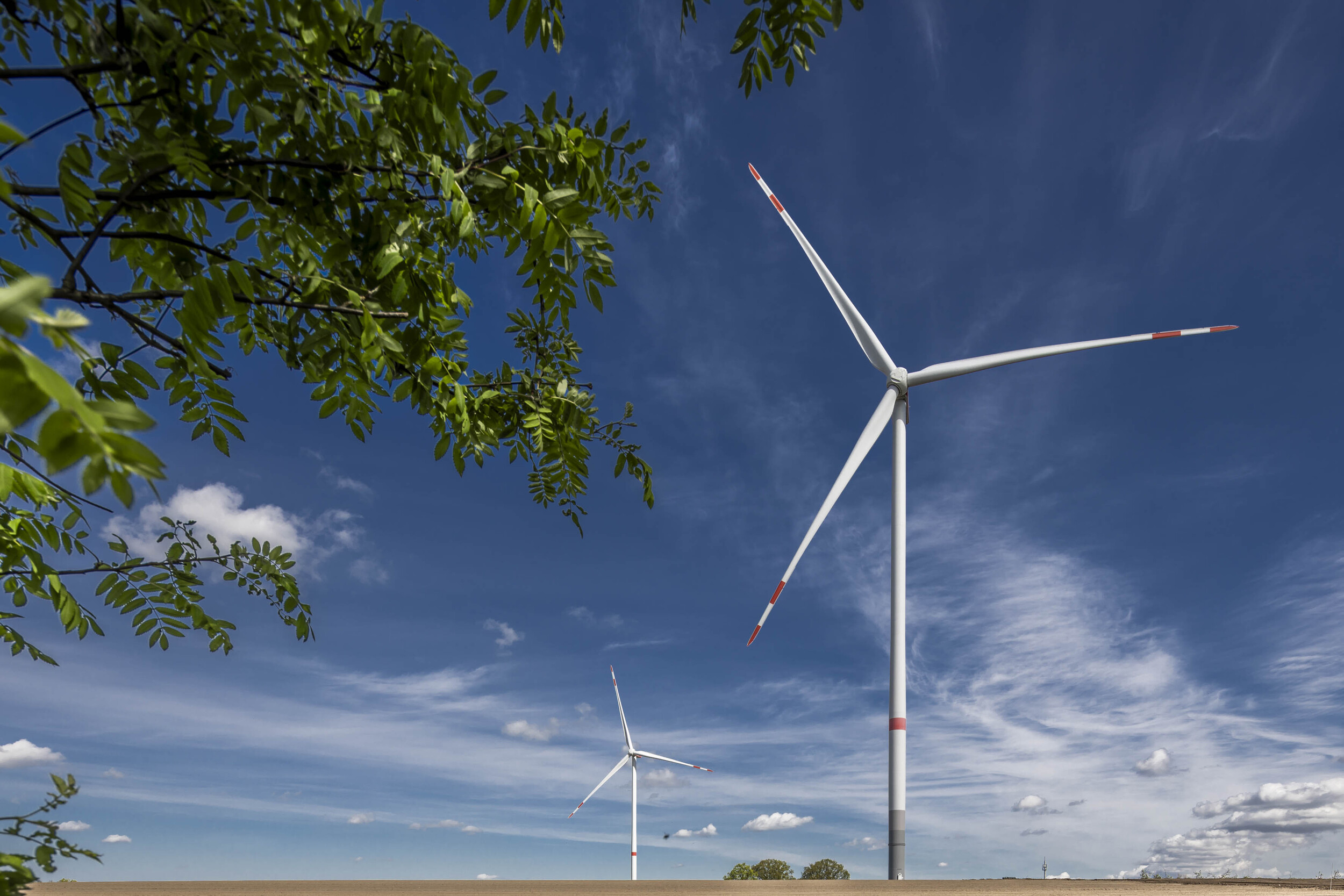 Trianel Erneuerbare Energien expandiert in Schleswig-Holstein