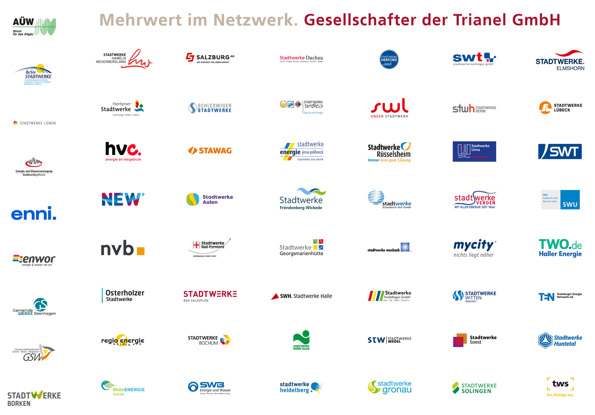 Trianel – Kooperation von Stadtwerken für die digitale Transformation