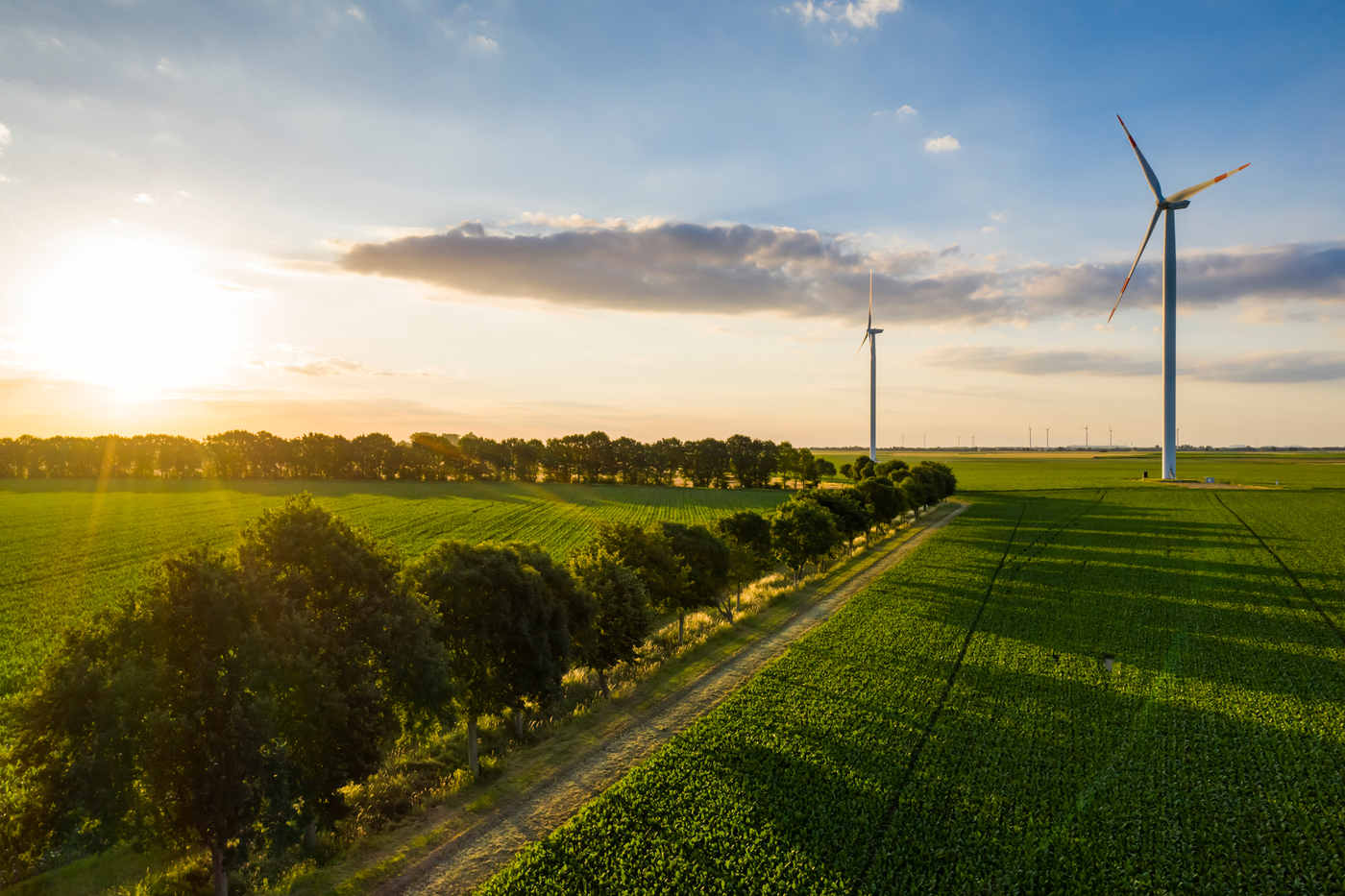 Trianel – Kooperation von Stadtwerken für die digitale Transformation