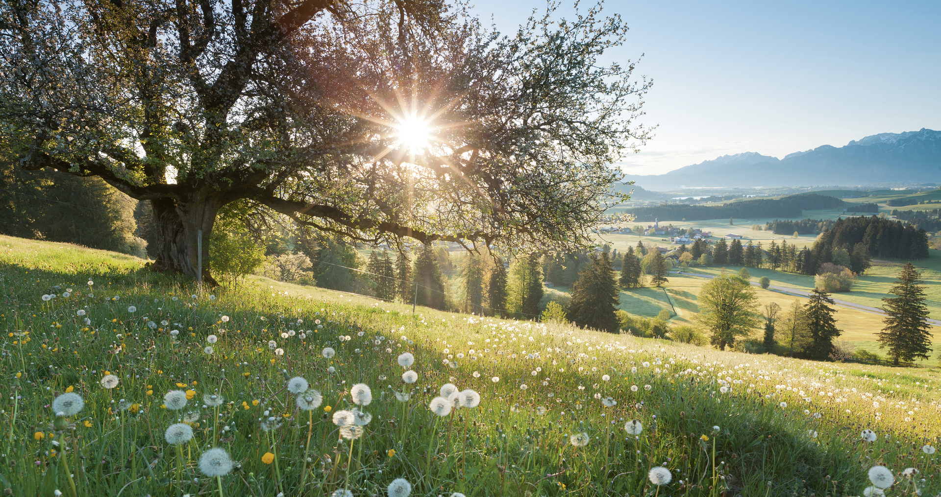 Nachhaltigkeitsreporting – Megatrend, Notwendigkeit oder beides?